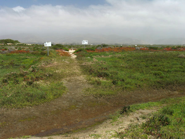 Estero Punta Banda