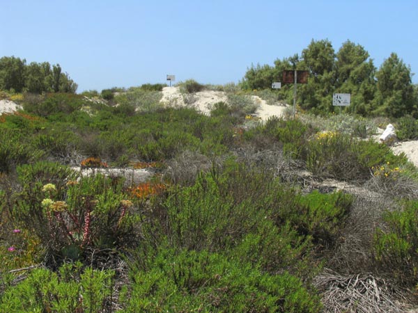 Estero Punta Banda